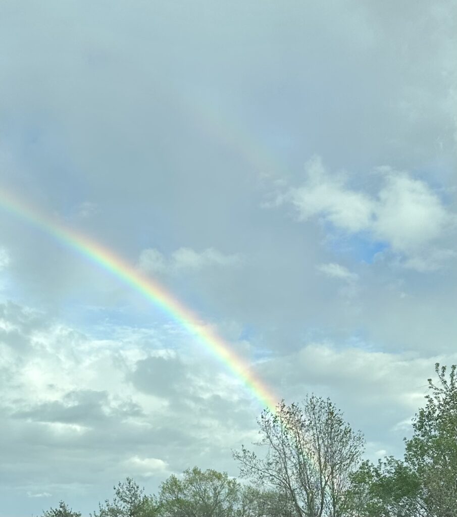 Miracle IVF Rainbow Baby - Gift of Parenthood